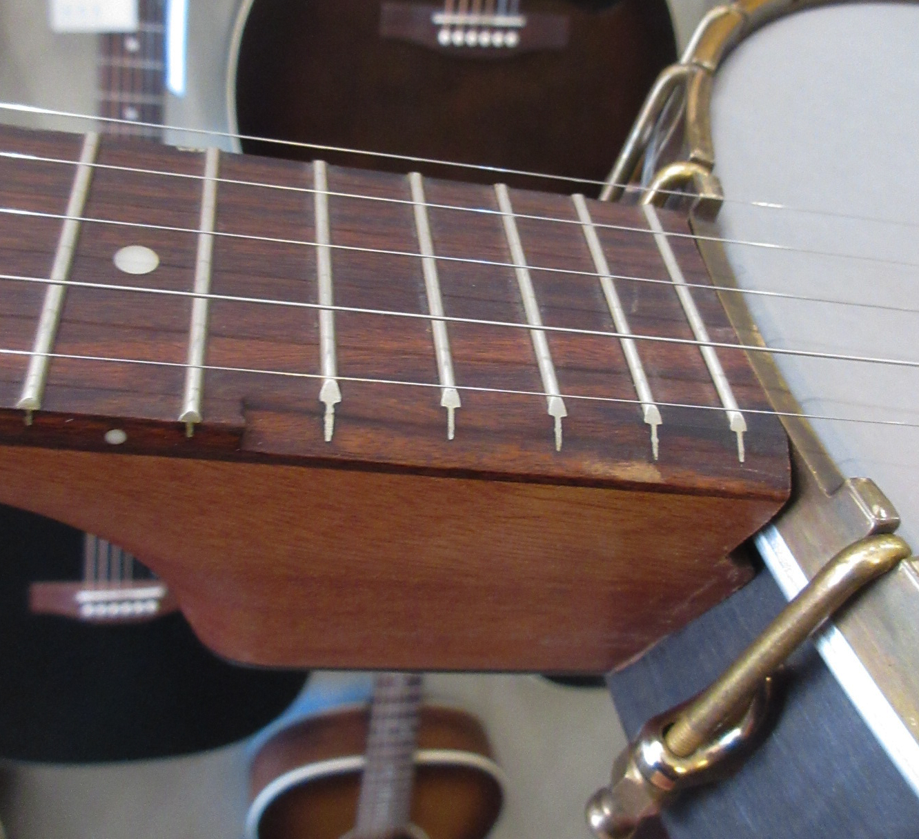 UTE Banjos Premium 12″ | Music Folk St. Louis